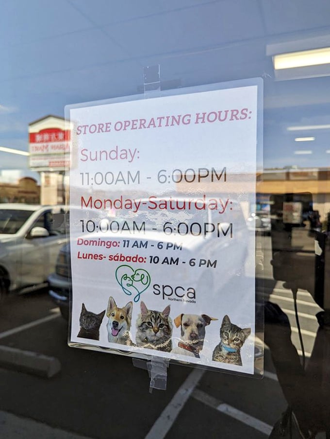 Store hours posted with adorable animal ambassadors reminding you that your shopping habit is actually helping homeless pets.