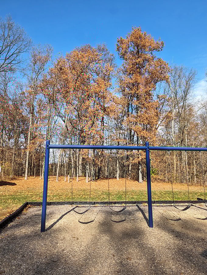 Childhood joy meets nature's beauty at the park's playground, where swings frame postcard-worthy views of autumn's golden display.