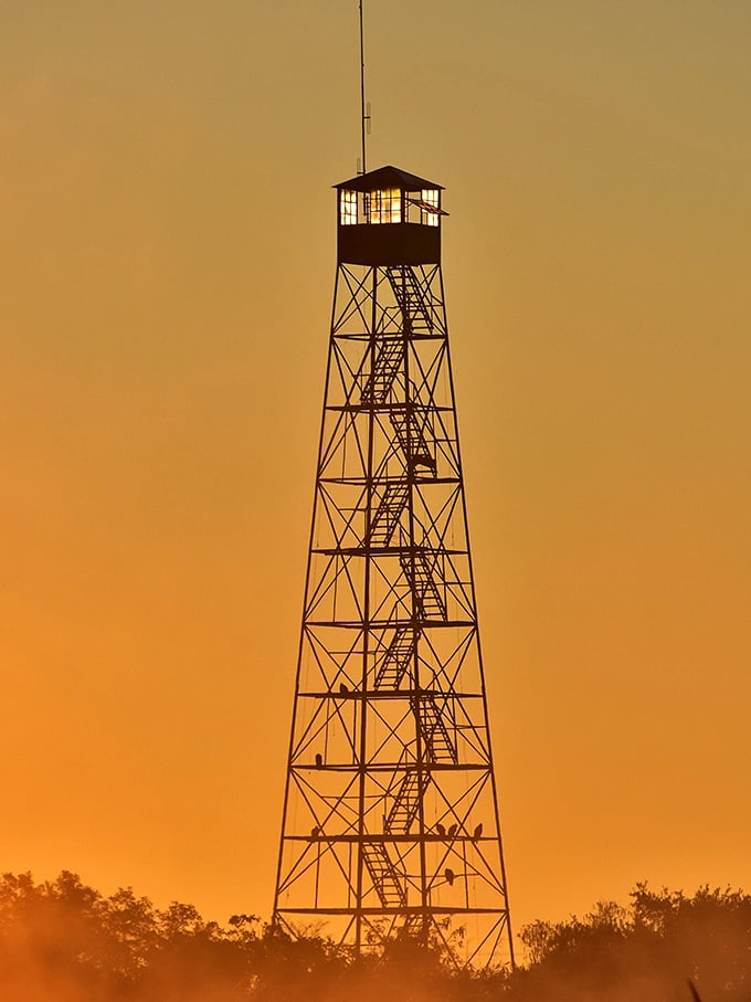 The fire tower rises dramatically against the sunset sky, standing sentinel over thousands of acres of protected wilderness below.