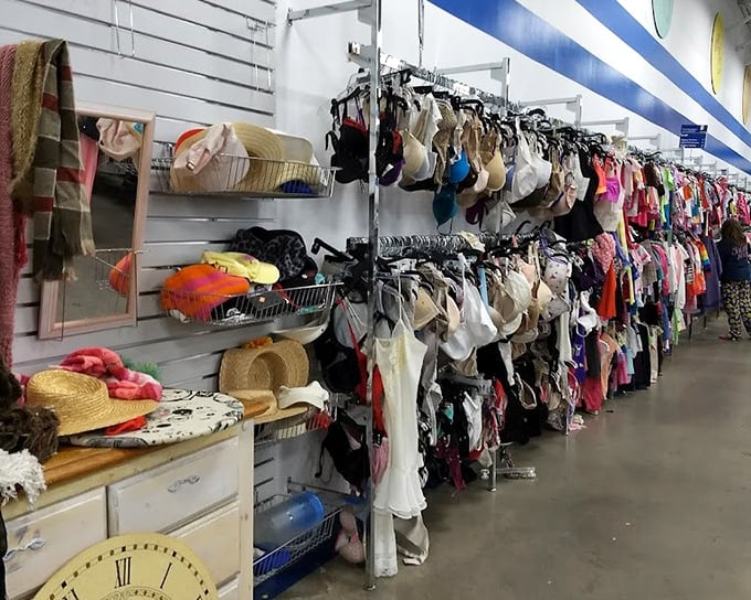 Intimate apparel and accessories arranged with surprising dignity—proof that even thrift stores have standards and organizational skills.