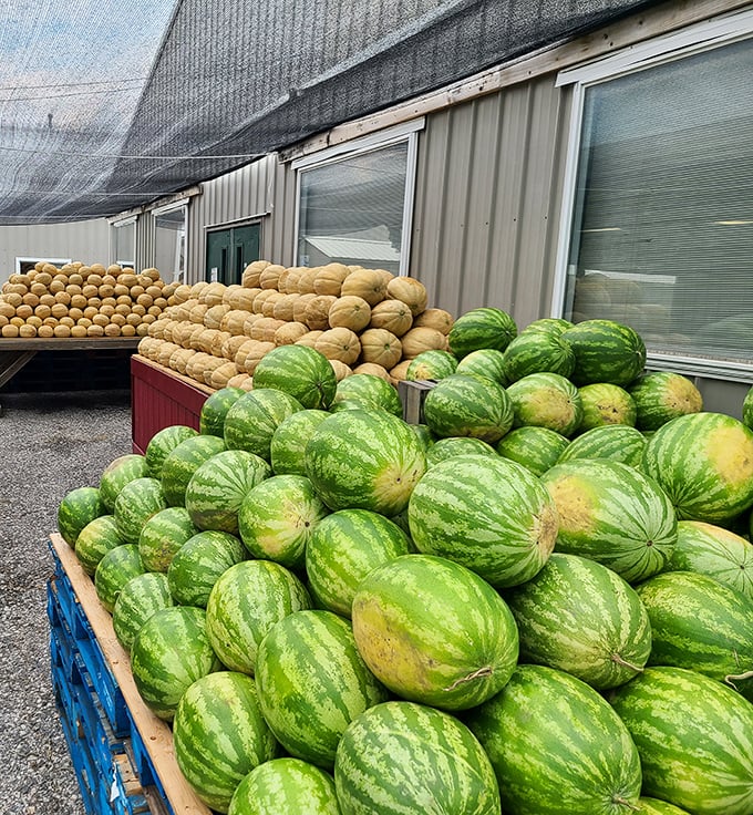 Summer's bounty piled high—watermelons and cantaloupes that promise the perfect ending to a Pennsylvania picnic.