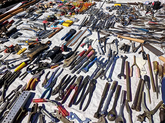 Tools with the patina of a thousand projects—each wrench and hammer telling stories of garages, workshops, and "I can fix that" declarations.