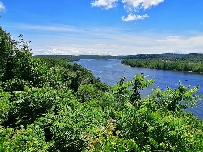 River valley panoramas stretch endlessly, justifying every "stop and smell the roses" cliché you've ever heard.