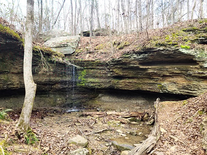 Nature's spa treatment – a gentle waterfall that's been providing free sound therapy since long before meditation apps were a thing.