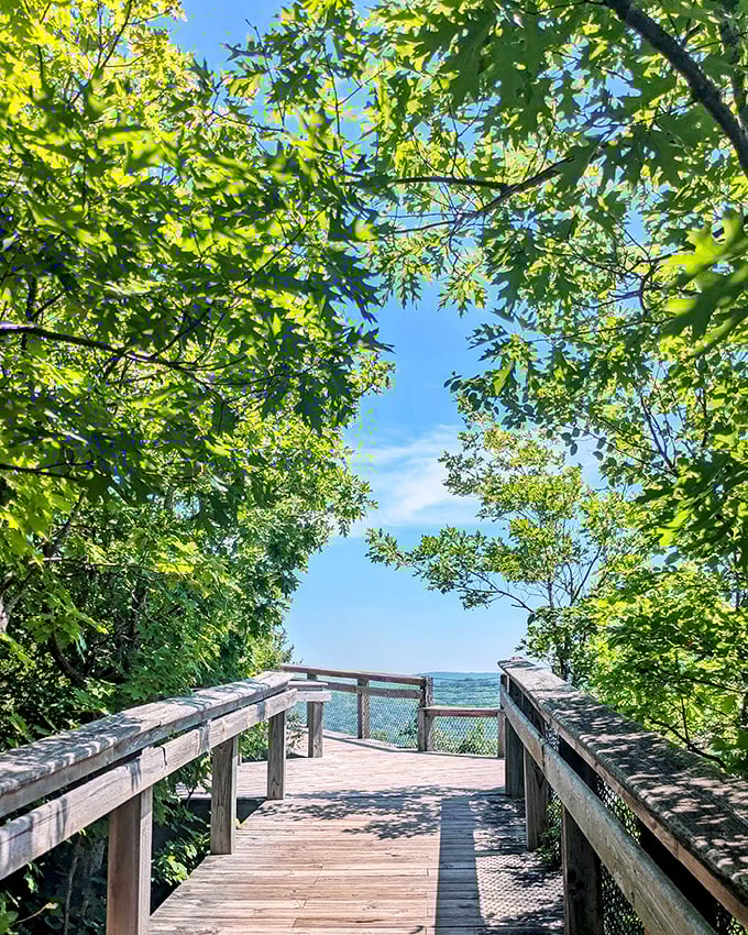 Sunlight dapples through leaves creating nature's stained glass. This walkway delivers you to views that make even non-believers say "Hallelujah!"