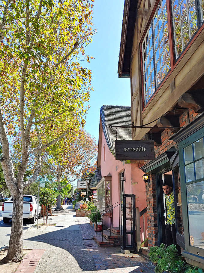 Carmel's storybook cottages and cypress trees create the most romantic seaside village in America.