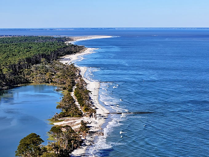 From above, the island reveals its true self—a slender ribbon of sand caught in an eternal dance between forest and ocean.