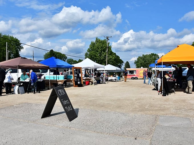 The farmers market brings locals together in a celebration of homegrown goodness, where conversations are as fresh as the produce.