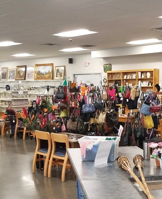 The home décor section offers framed art and knickknacks that let you redecorate seasonally without your spouse questioning your financial decisions.