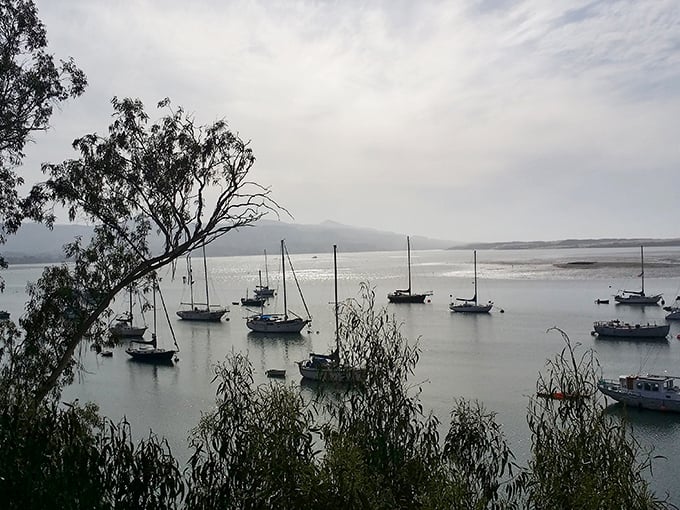 Morning mist creates a dreamy atmosphere as sailboats rest peacefully on Morro Bay's glassy waters—nature's own meditation session.