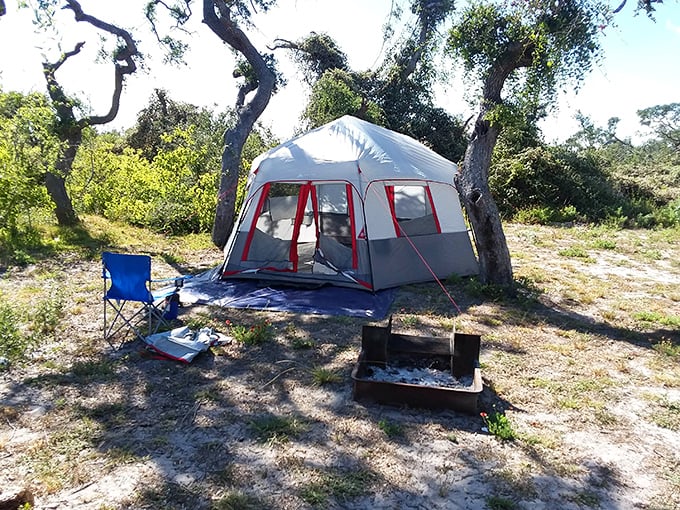 Camping nirvana achieved! This tent setup beneath protective oak branches offers the quintessential Goose Island experience—nature's embrace with just enough creature comforts.