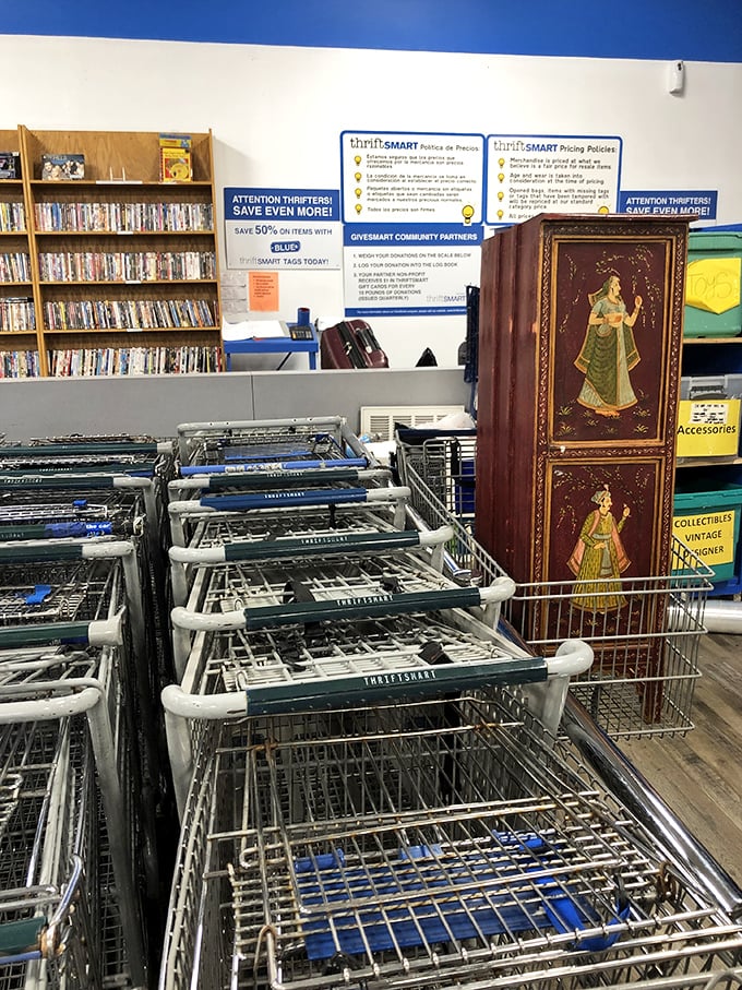 Shopping carts lined up like eager racehorses at the starting gate. Fill 'em up and save!
