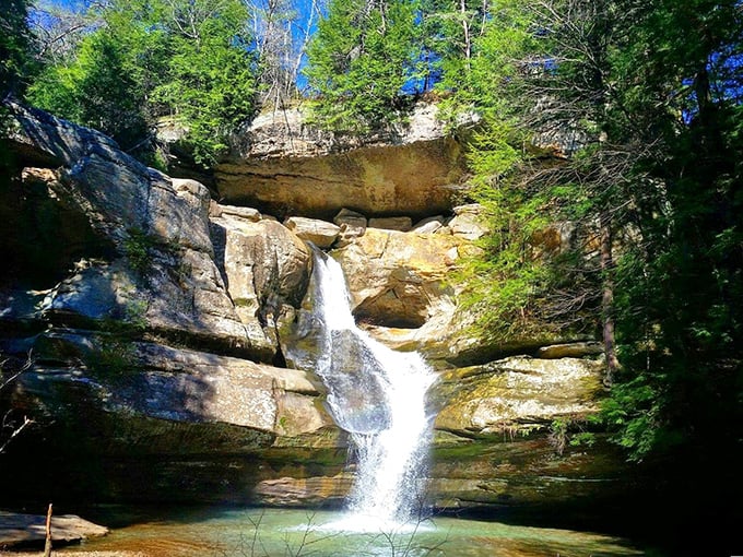 Cedar Falls in perfect light—nature's version of the golden hour filter we all wish we had on our faces. No photo editing required.