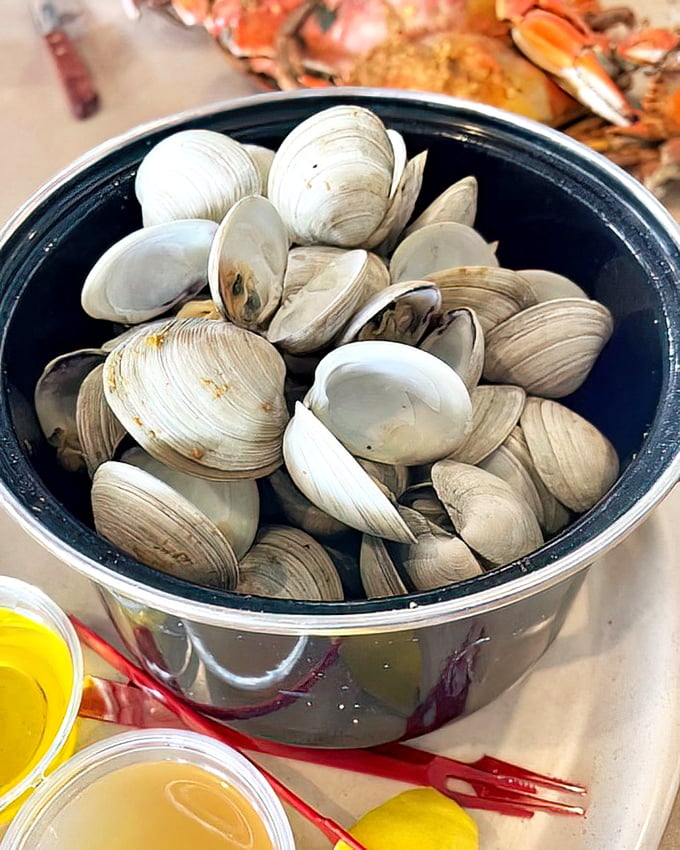A bucket of steamed clams—nature's perfect appetizer. These bivalve beauties are just waiting to take a dip in melted butter before their final destination.