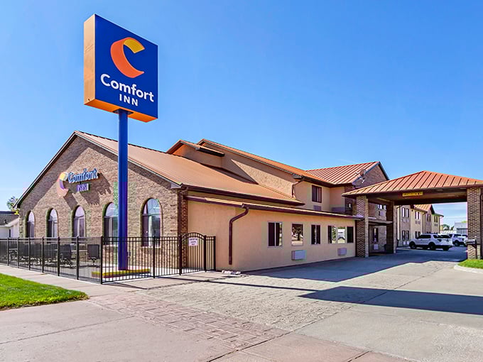 The Comfort Inn offers road-weary travelers exactly what its name promises—a reliable respite before more Sandhills adventures tomorrow.