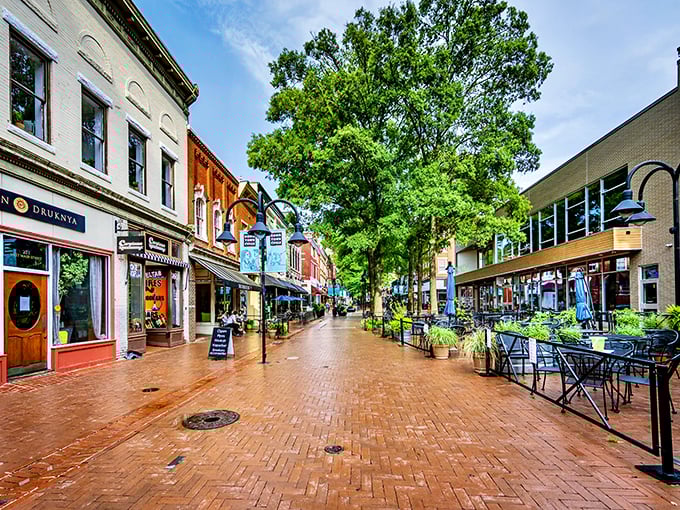 The Downtown Pedestrian Mall after a spring shower – brick pathways glistening, colorful storefronts popping against the green canopy overhead, inviting you to explore every corner.