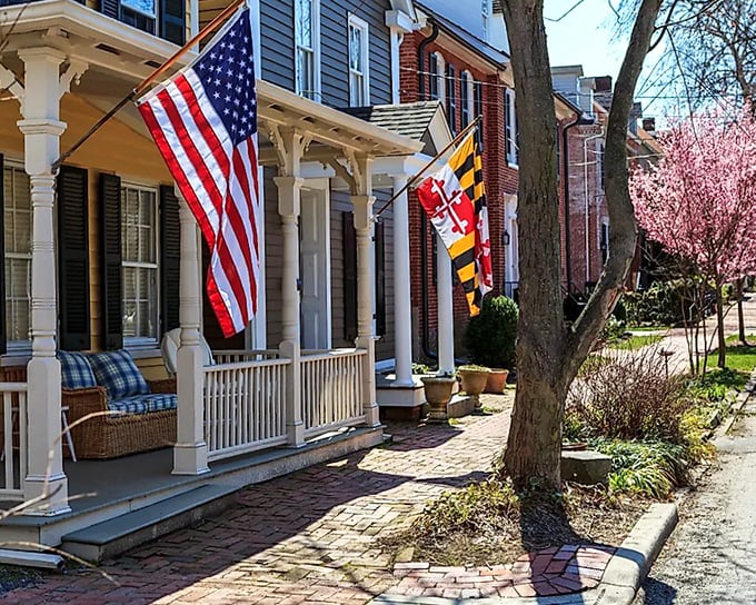 American and Maryland flags flutter along a residential street where front porches aren't just architectural features – they're outdoor living rooms for watching the world go by.