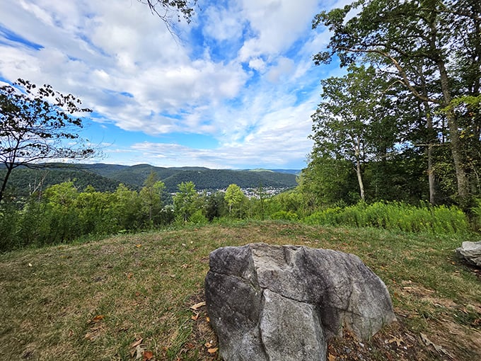 The Emporium Overlook rewards hikers with panoramic views that remind you why they call Pennsylvania "Penn's Woods"—miles of uninterrupted natural beauty.