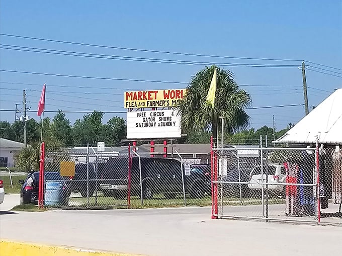 The gateway to adventure! Market World's entrance sign stands as a beacon to bargain hunters and curious travelers alike – Florida's retail wonderland awaits.