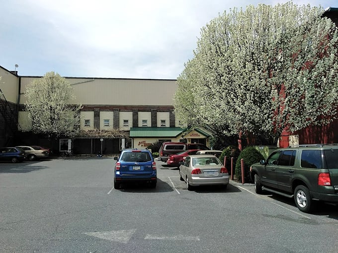 Spring blossoms frame Jubilee's entrance like nature's welcome committee, inviting treasure hunters to begin their quest.