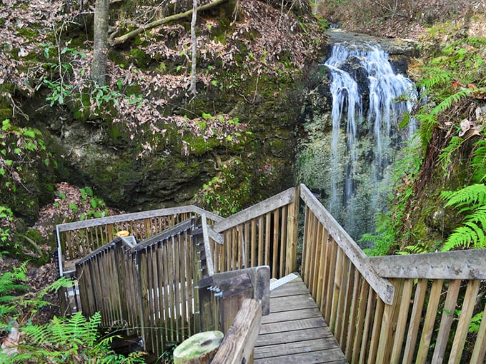 A hidden waterfall in Florida? It's like finding a snowman in Miami—unexpected, magical, and worth every step of the hike to witness.