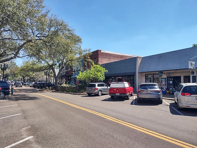 Fernandina's historic district isn't just preserved—it's thriving. Those oak-lined streets have witnessed more first kisses and ice cream cones than anyone could count.