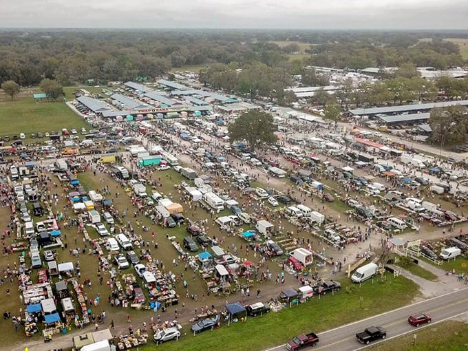 Bird's eye bargain hunting! From above, Webster's sprawling marketplace reveals its true scale—a small city dedicated to the art of the deal.