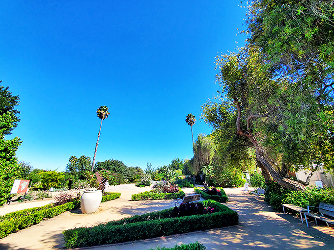Manicured yet relaxed, these garden paths invite wandering with no particular destination—the horticultural equivalent of a perfect Sunday afternoon.