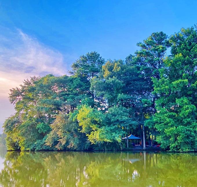 Sunset casts a golden glow across the pond, where hidden gazebos peek through lush greenery—nature's perfect ending to a perfect day.