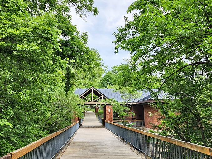 A wooden walkway through lush Missouri greenery—nature's red carpet leading to discoveries worth more than any Hollywood premiere.