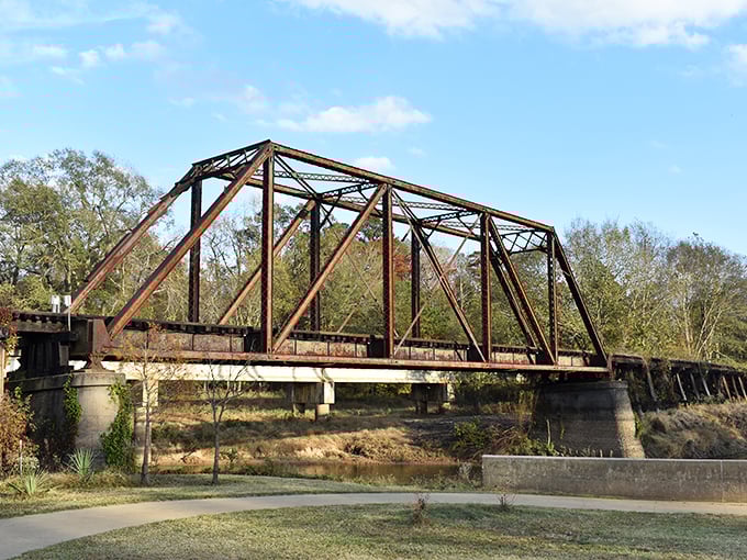 This rusted iron bridge has the weathered dignity of an old boxer – it's seen things, carried heavy loads, and earned every bit of its patina.