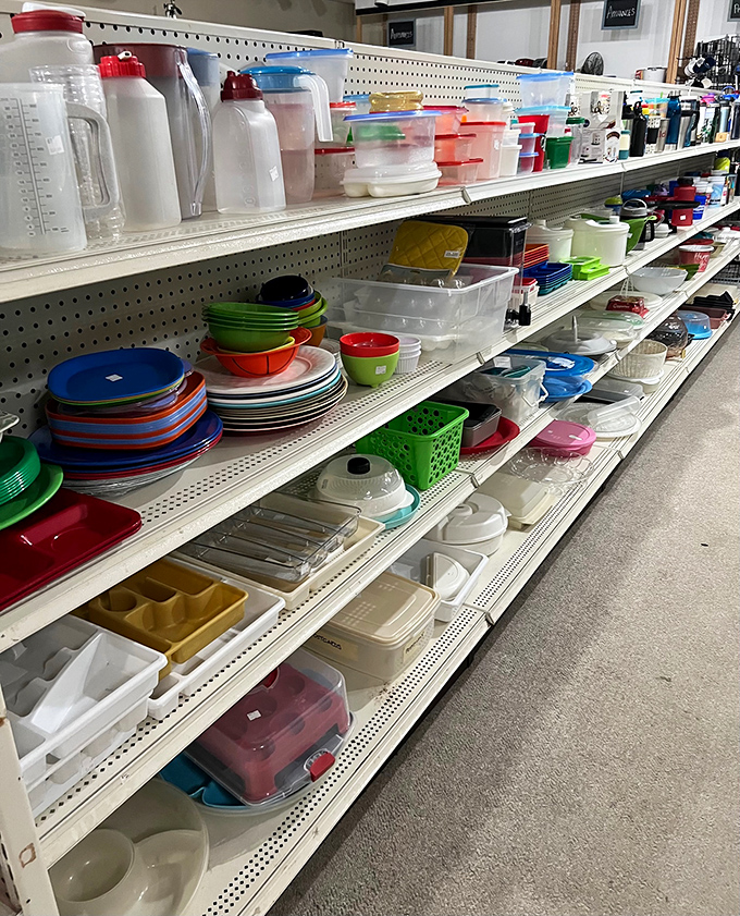Colorful dishes and food storage containers create a practical rainbow. Someone's kitchen is about to get organized without their wallet getting disorganized.