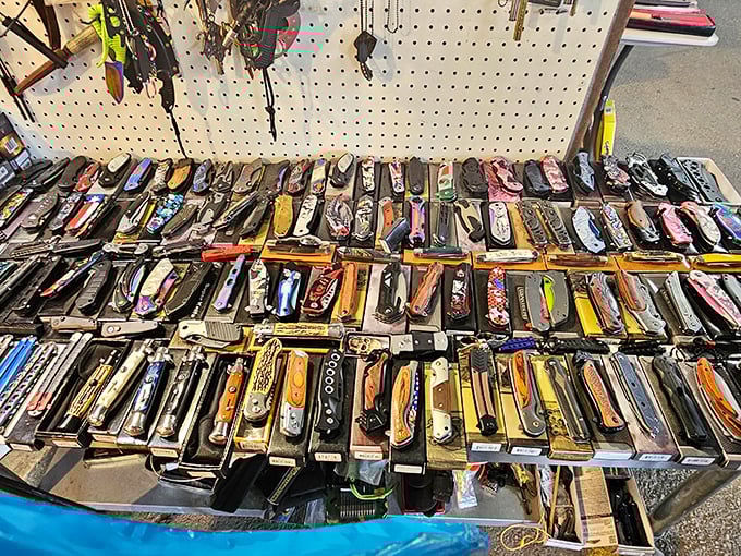 A knife collector's dream display—hundreds of blades arranged with the precision of a surgeon and the pride of a craftsman.