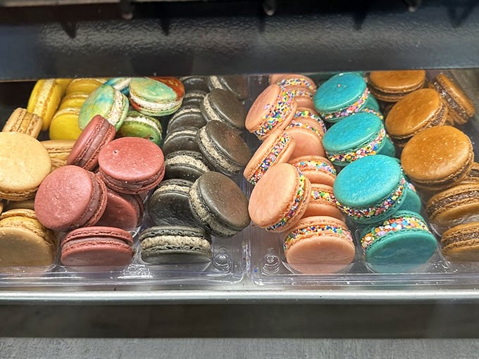 Macarons in technicolor glory—like edible jewelry that makes you feel fancy even when you're wearing yesterday's yoga pants.