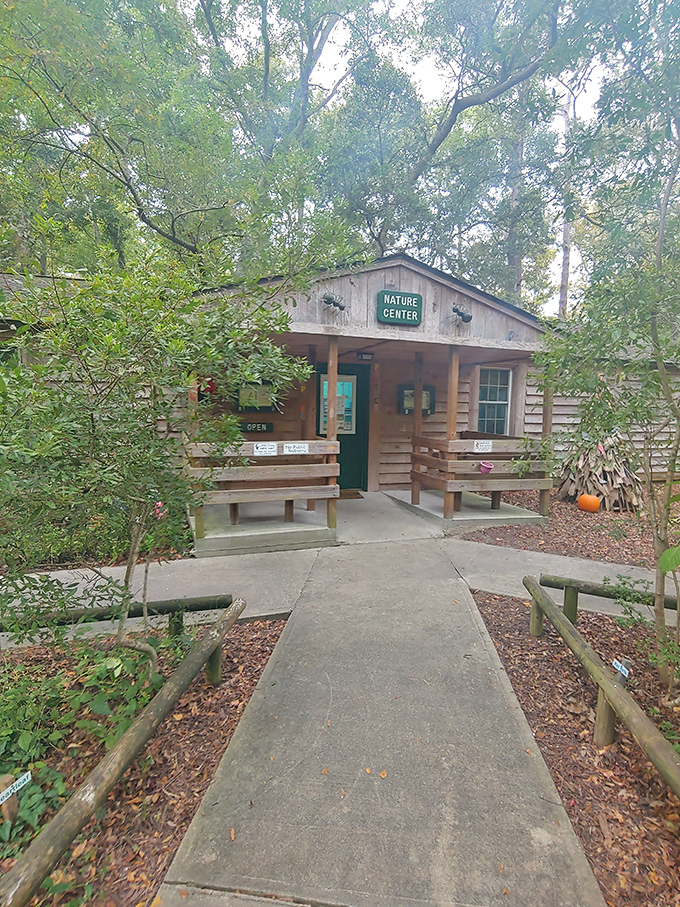 The nature center sits like a wise forest elder, ready to answer all your "what kind of bird was that?" questions.