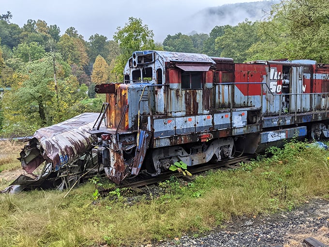 Nature slowly reclaims what man abandoned. This weathered locomotive hulk serves as a rusty reminder of the railroad's industrial past.