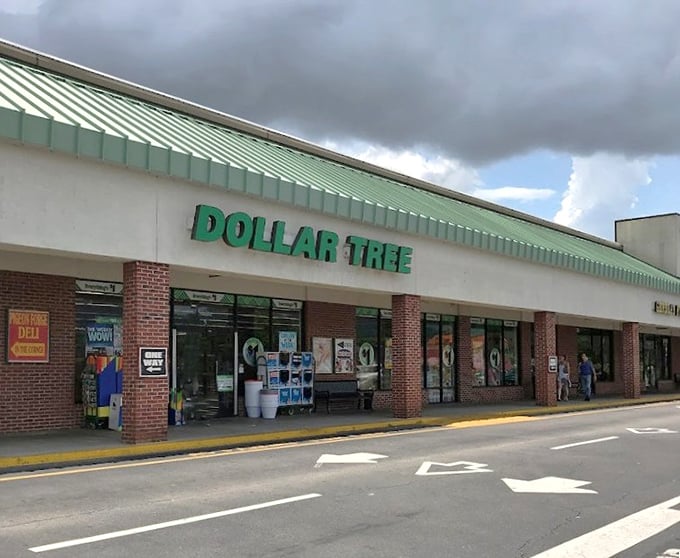 Even on cloudy days, this Dollar Tree stands like a beacon of hope for budget-conscious shoppers everywhere.