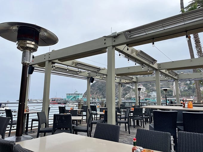 Outdoor seating with heat lamps and harbor views—because even on cloudy days, fresh seafood tastes better with a side of ocean breeze.