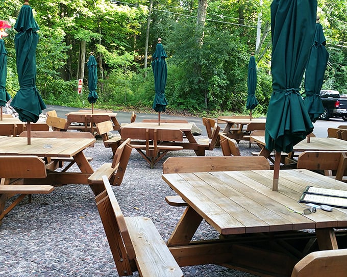 Summer dining al fresco under forest canopy—where picnic tables and umbrellas create Wisconsin's answer to Tuscan outdoor dining.