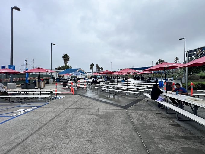Even on a gray day, the outdoor seating area stands ready for seafood enthusiasts who understand that fresh ocean air is the perfect seasoning for fish and chips.
