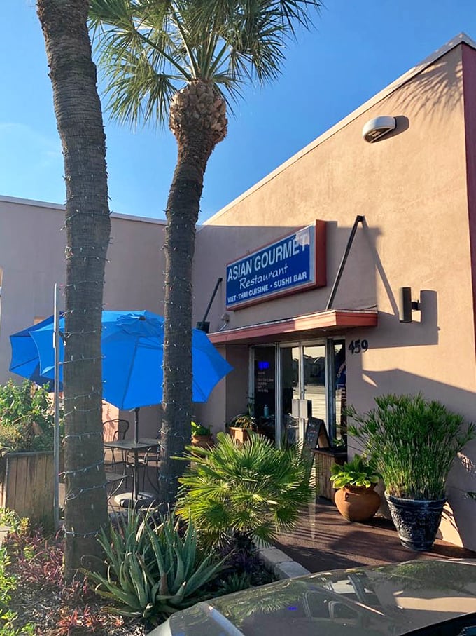 Palm trees stand like nature's maître d's, welcoming you to a Florida strip mall hiding authentic Southeast Asian flavors.