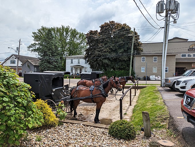 Amish buggies parked outside complete the experience – a reminder that some traditions are worth preserving, especially delicious ones.