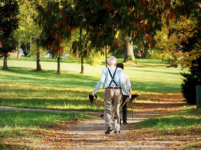 Autumn strolls through tree-lined paths—nature's reminder that the golden years can be exactly that: golden, vibrant, and full of beauty.