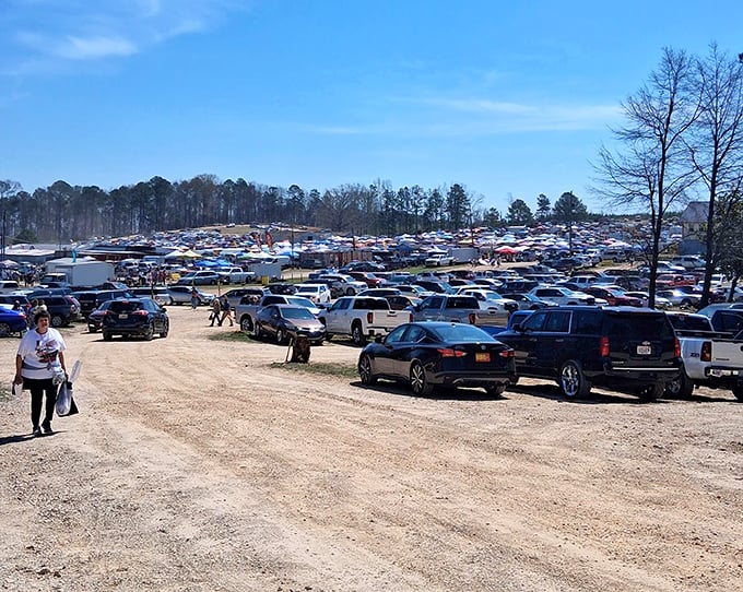 The parking lot tells the true story of Mountain Top's popularity—a sea of vehicles from counties near and far, each representing a family's Sunday adventure.