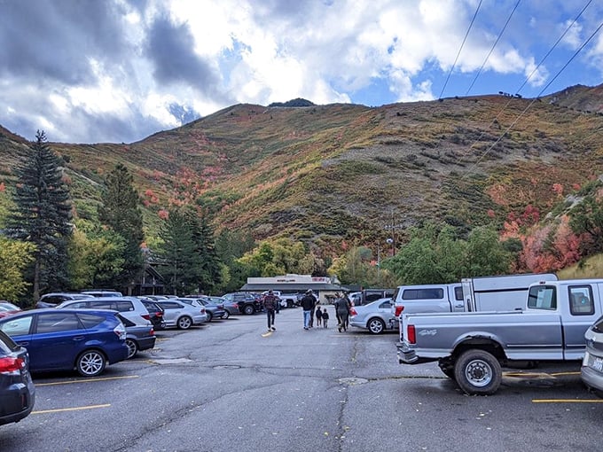 Even the parking lot has character – motorcycles, minivans, and mountain bikes living in harmony.