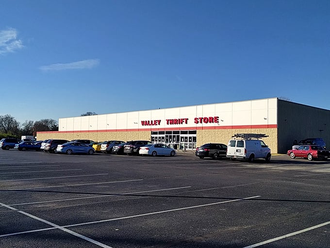 A packed parking lot on a sunny day—the universal signal that savvy shoppers have discovered where the good stuff hides.