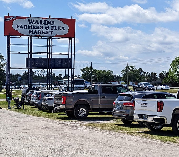The parking lot tells the tale—trucks and SUVs lined up like eager shoppers themselves, ready to haul away the day's discoveries.