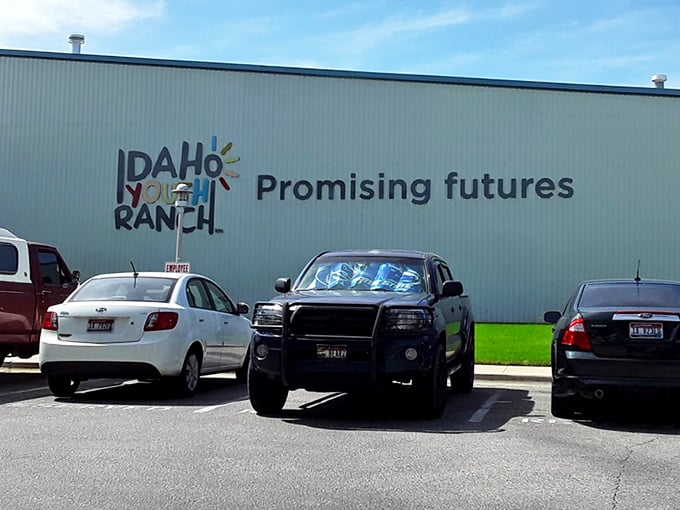 The promise painted on the wall isn't just about the organization – it's about what each donation and purchase makes possible.