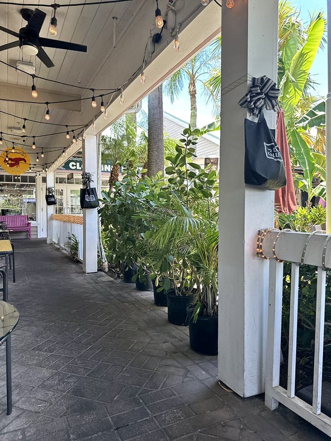 String lights and palm trees create the perfect Florida-meets-New England patio vibe – because chowder tastes better with a gentle breeze.