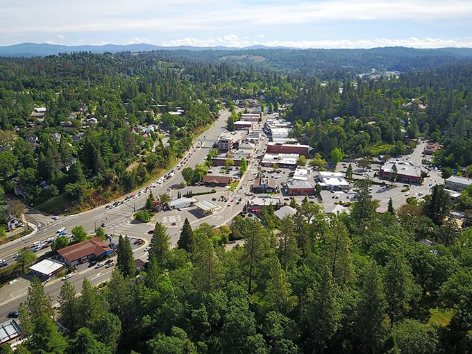 From above, Placerville spreads through the pines like a secret the forest is finally ready to share.
